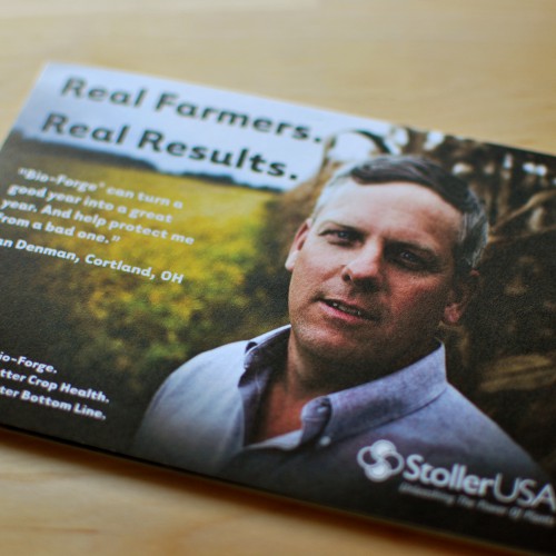 Tina Hong-Sandmel | My Work